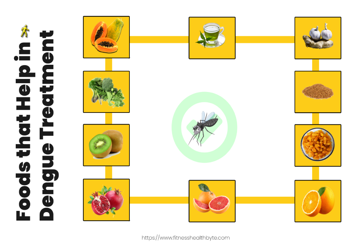 The Best Dengue Treatment Food To Eat - Fitness health byte